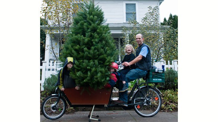 4 Ways to Move a Christmas Tree by Bike