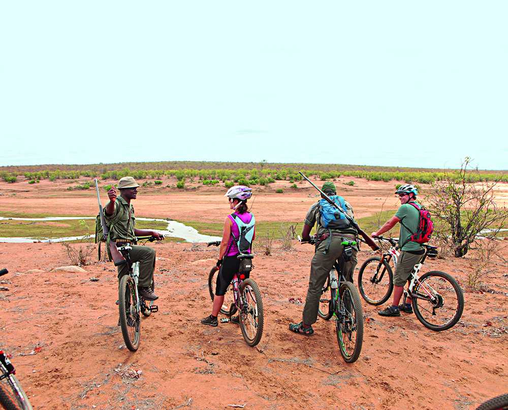 Explore The Kruger On Your Bike With Bicycling!
