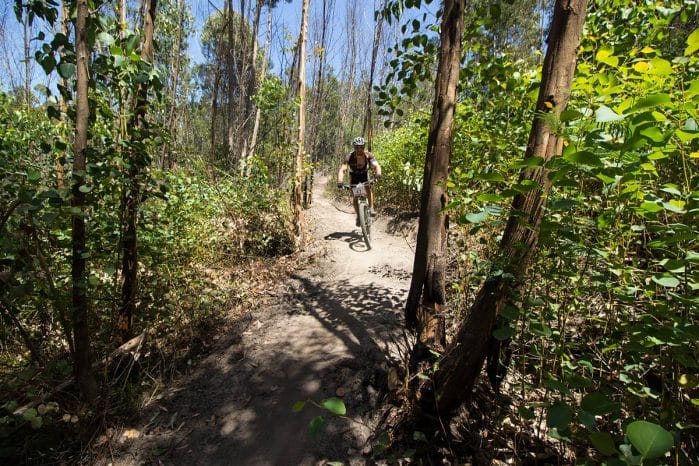 Cyclo Pro Fat Tracks Longmore Classic